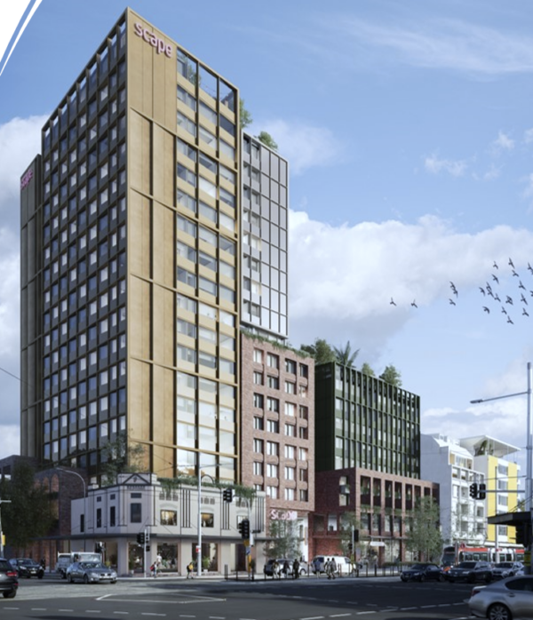 Sydney Construction Case Study - High Water Table - Infinity Constructions